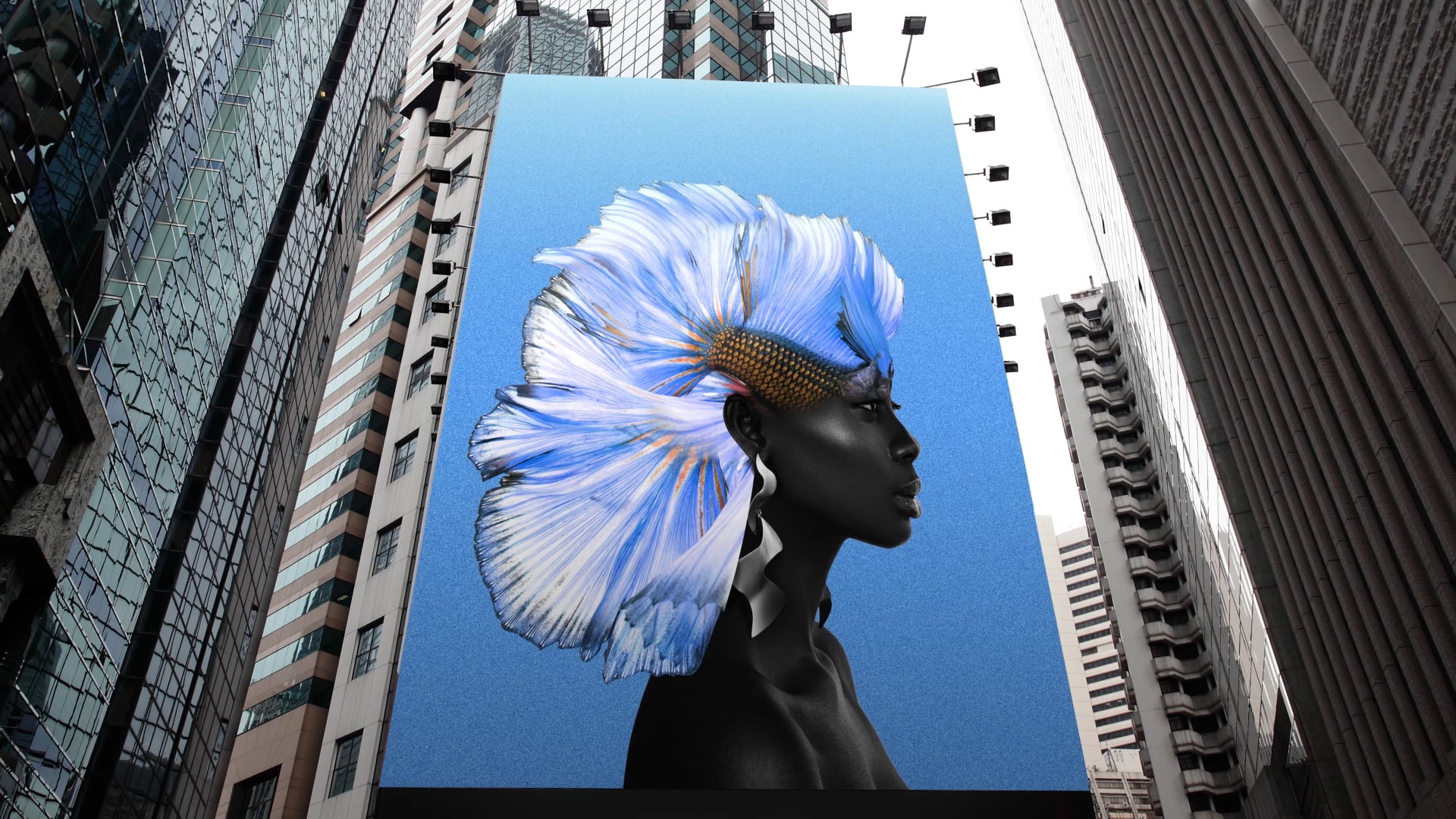 Adobe: Make It Now Series - Adobe Learn Tutorial - Make a Photo ...