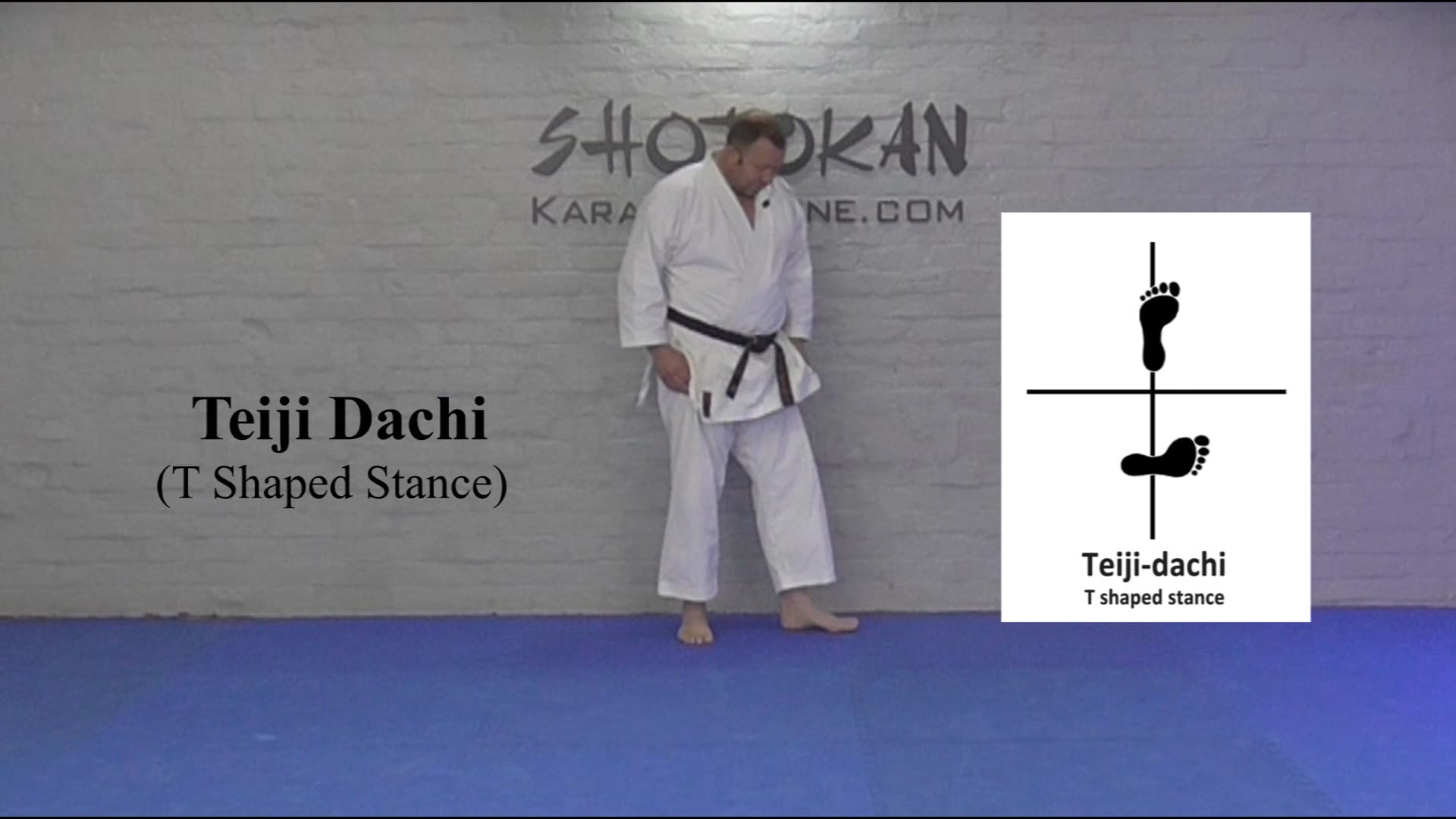 Teiji Dachi Shotokan Karate Stances on Vimeo