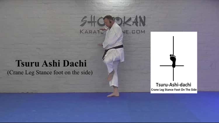Taekwondo Back Stance