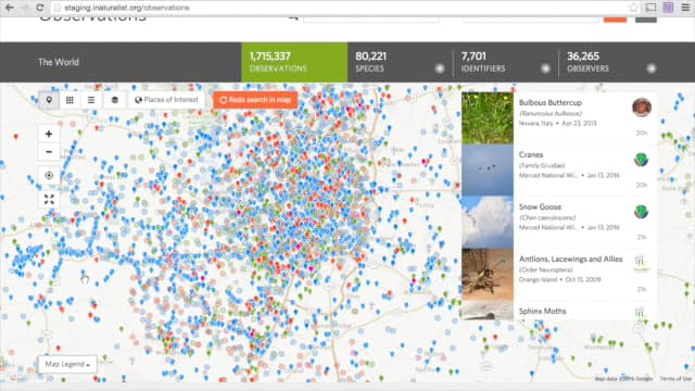 Exploring Observations with iNaturalist on Vimeo