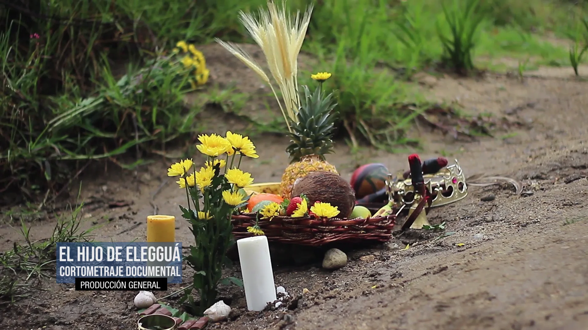 Demo Reel | Erick Paredes on Vimeo