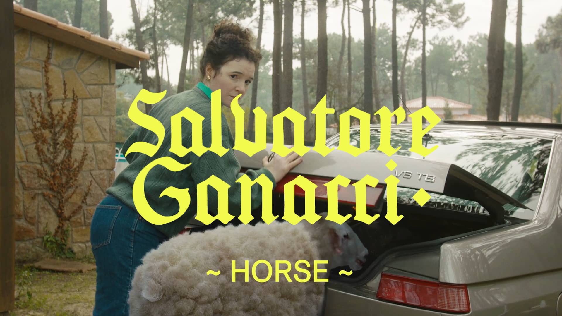Salvatore Ganacci - Horse on Vimeo