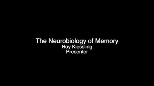 The Neurobiology of Memory - The Neurobiology of Memory on Vimeo