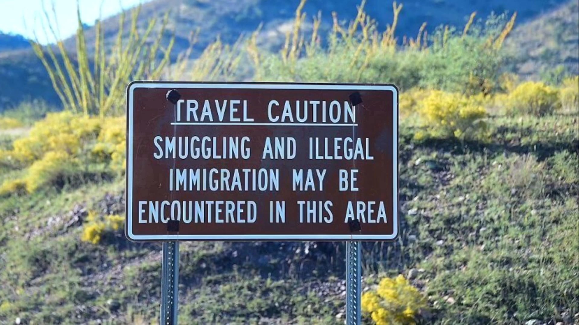 The city of Tucson Is a very dangerous place to live. on Vimeo