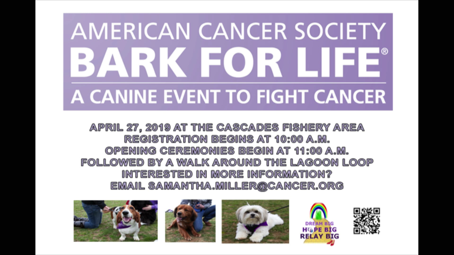 Bark for Life Saturday Rasing Funds for Relay for Life on Vimeo