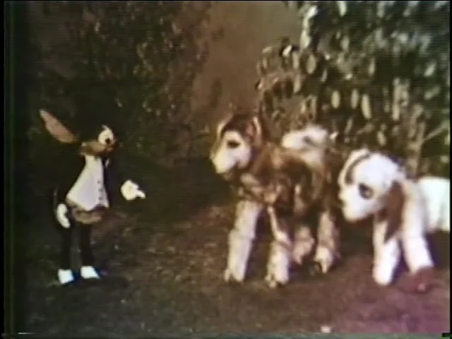 Brother Buzz TV Series - Working Dogs on Vimeo