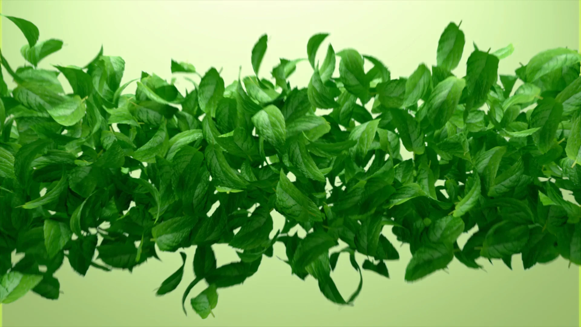 Double Mint Tea Flavor Gums | Mint on Vimeo