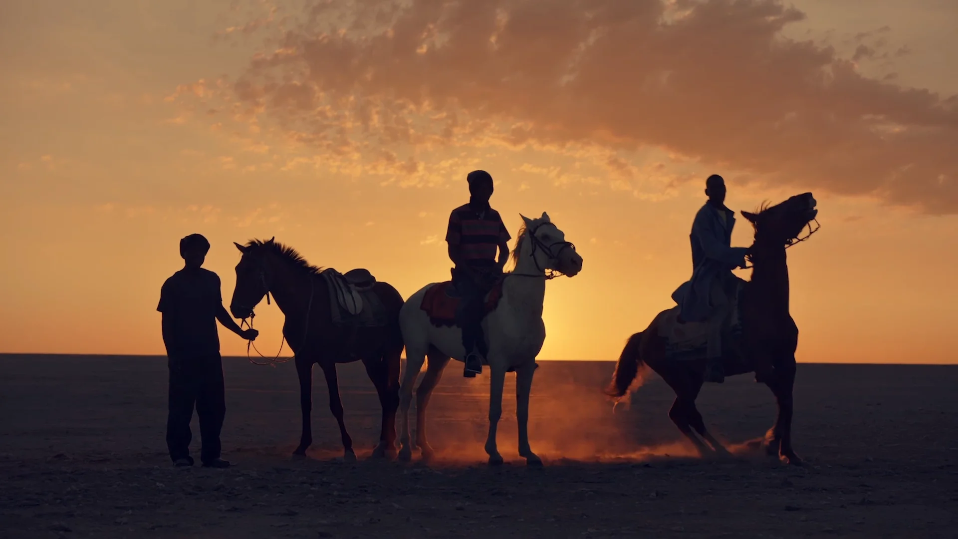 Okavango Blue Diamond "The Light at the Start of Everything" by Kim ...