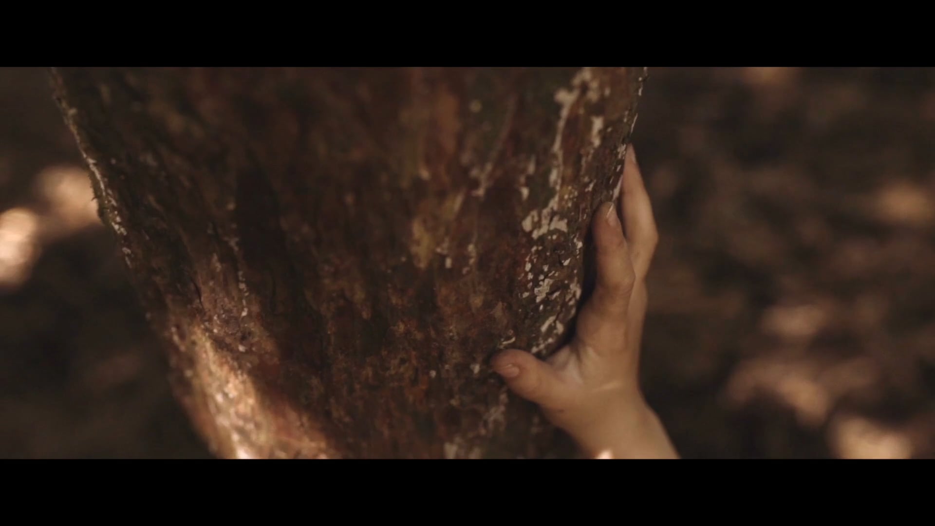 Parque Puerto Fonck on Vimeo