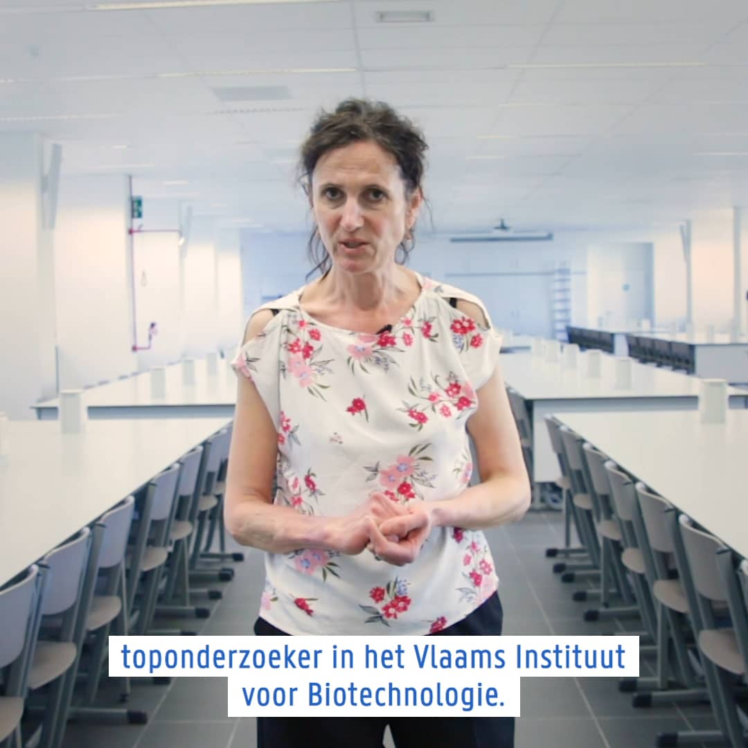 Krista Bracke on Vimeo