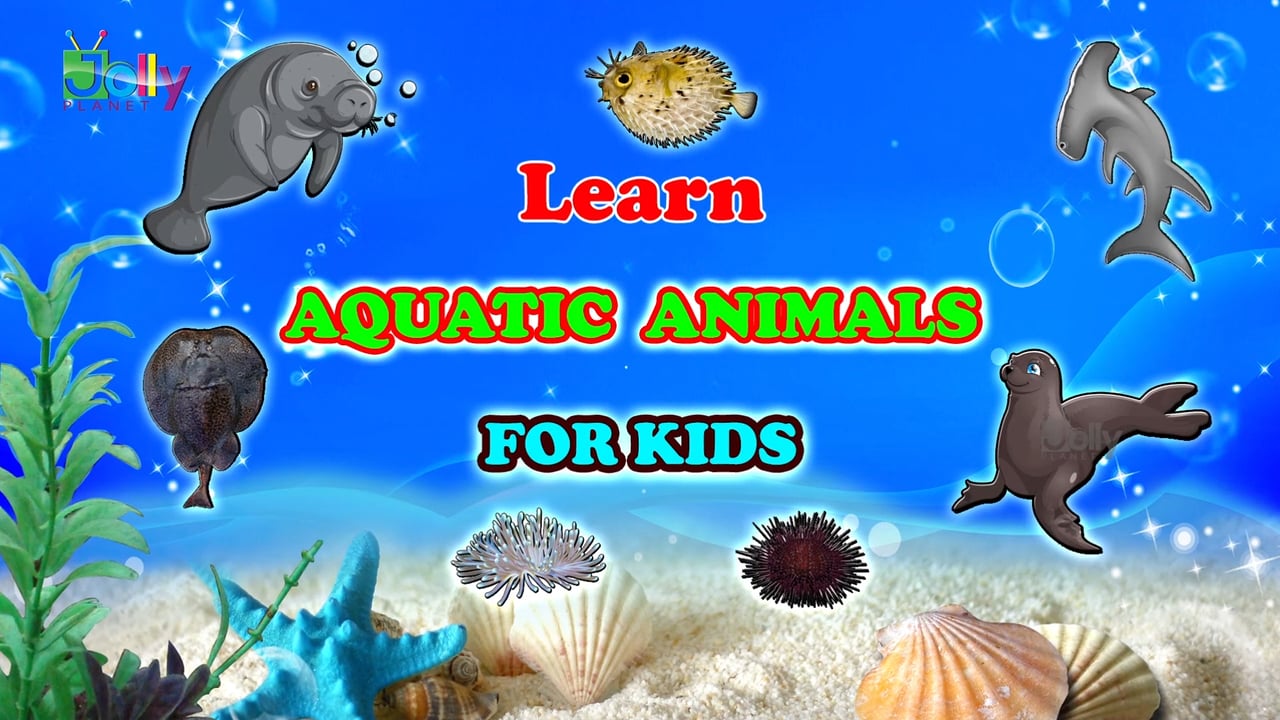 Water Animals for Kids - Learn Aquatic Animals for Children || Jolly ...