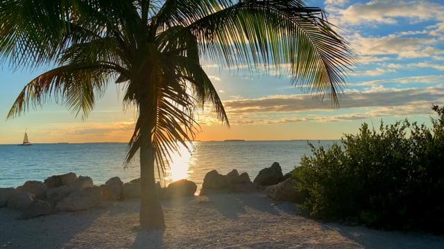 2,000+ Free Summer & Nature Videos, HD & 4K Clips - Pixabay