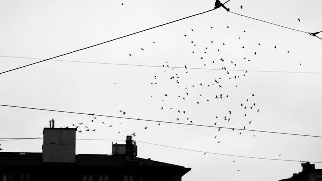 100+ Free Black Cloud & Clouds Videos, HD & 4K Clips - Pixabay