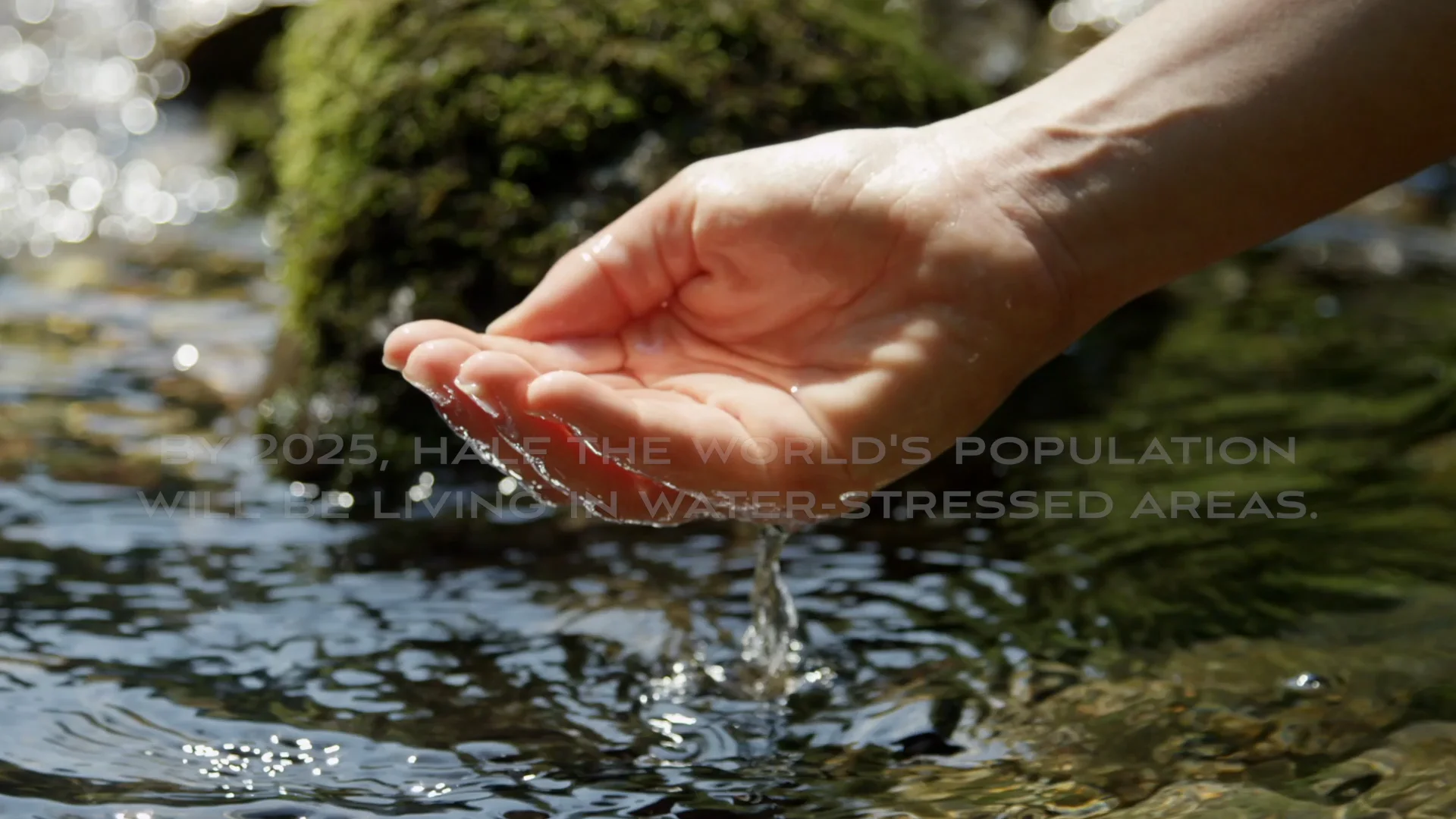 Ayala-The Portable Natural Biological System