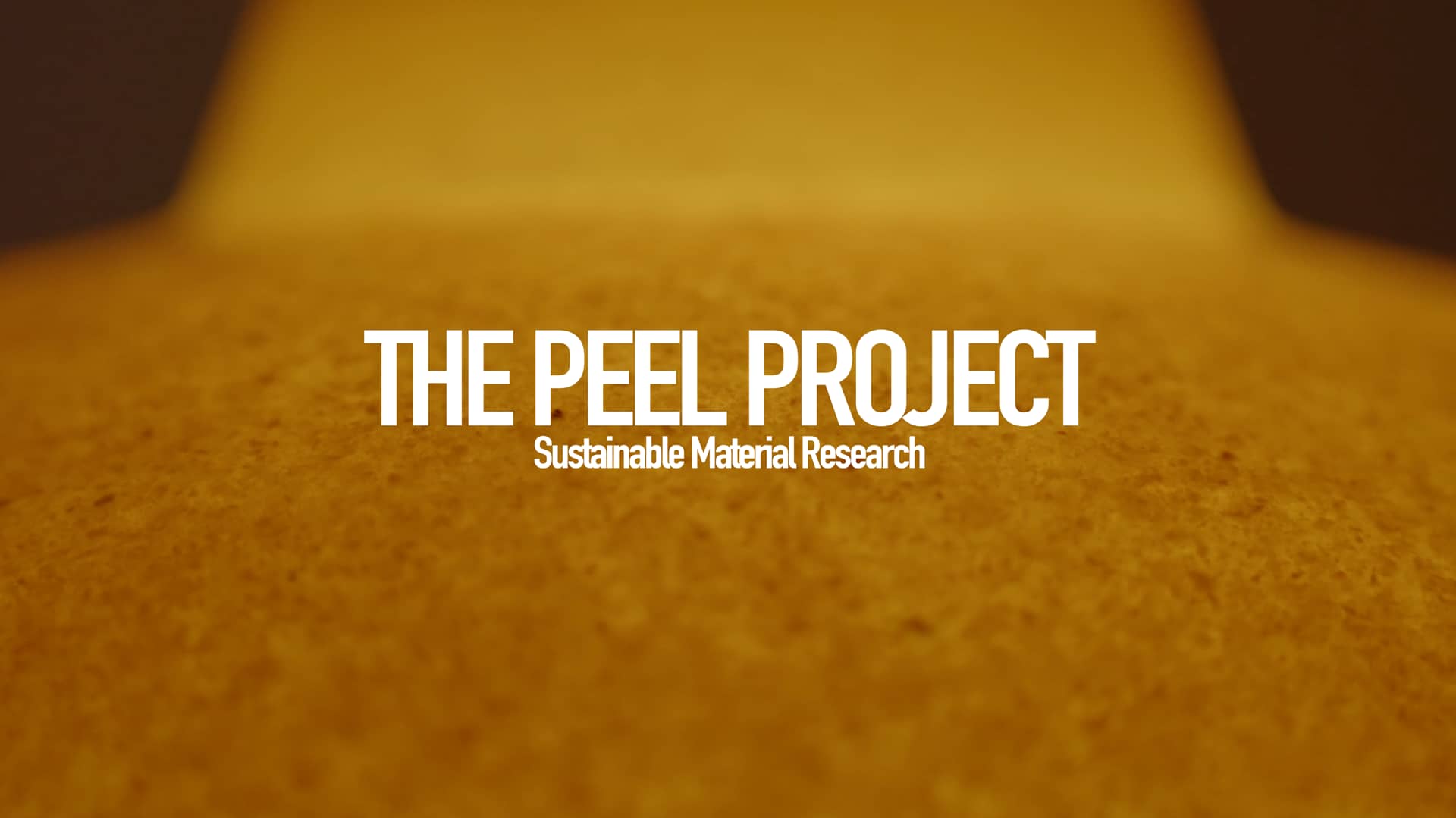 The Peel Project on Vimeo