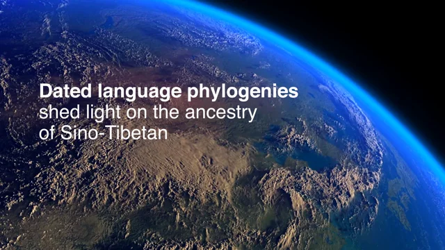 Tibetan Language