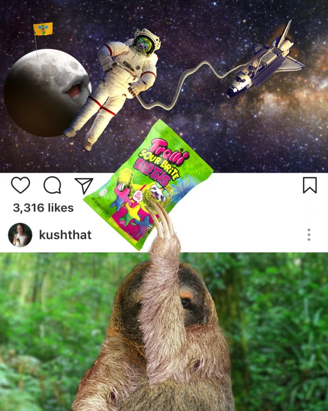 Sloth Meme Jelly