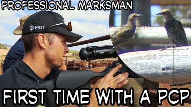 Pro Marksman's Virgin Hunt with a PCP Airgun - Airgun Pest Control ...