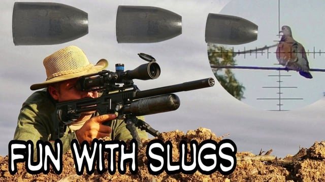 Hunters Vermin - Vermin Control with air rifles in Northern Ireland ...