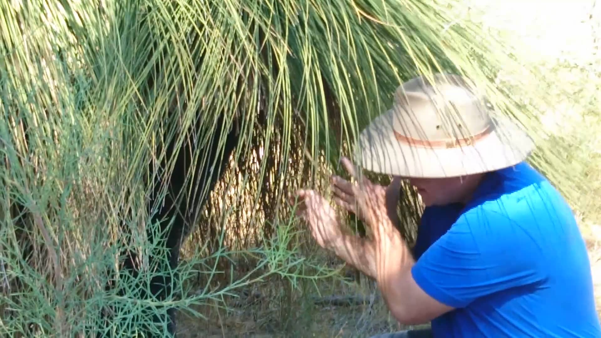 Making Bush Glue on Vimeo