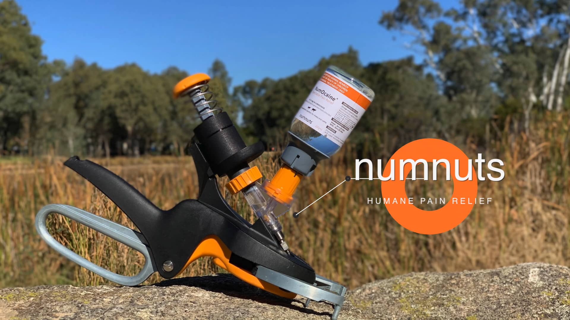 Numnuts® for Lamb Marking | NumOcaine® Pain Relief on Vimeo