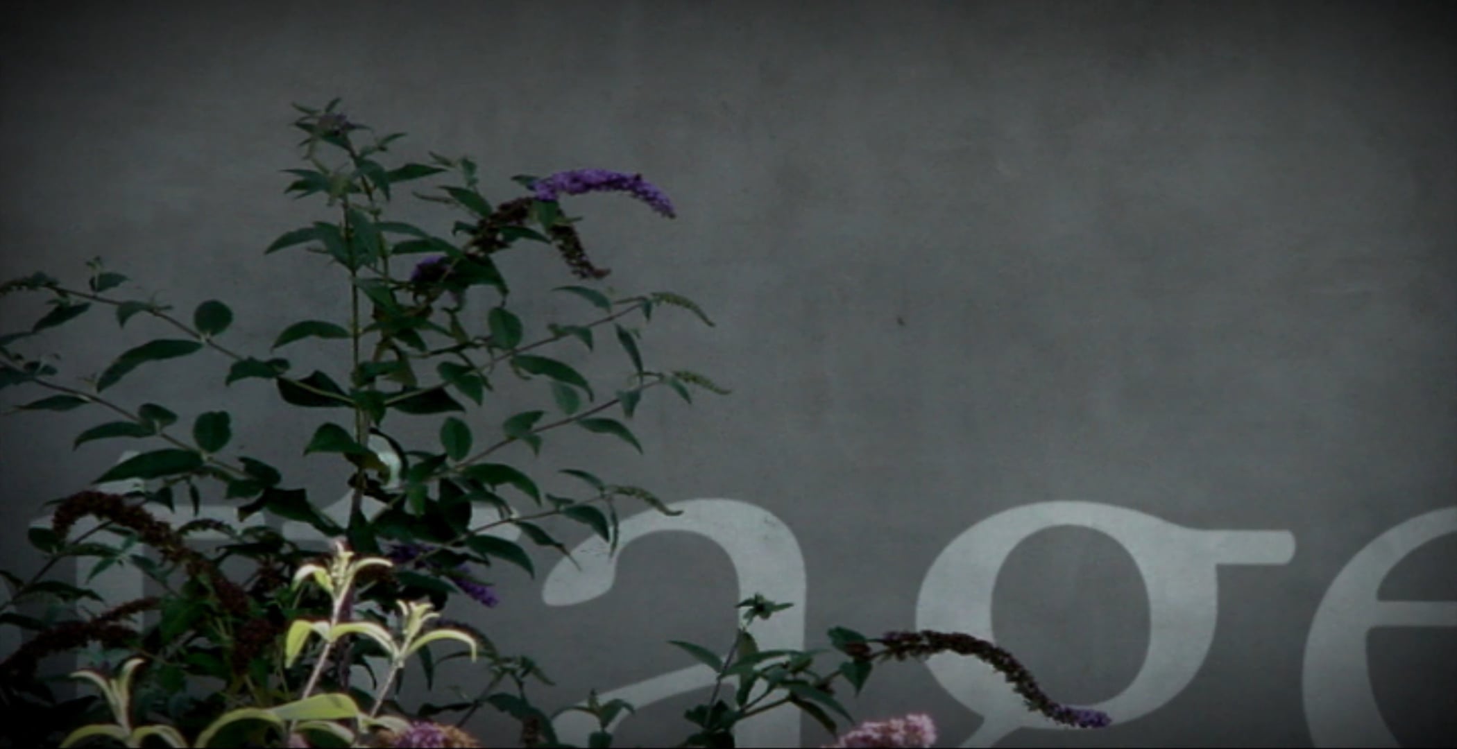 SUNDANCE HUNGER // Directed by Sam Tootal on Vimeo