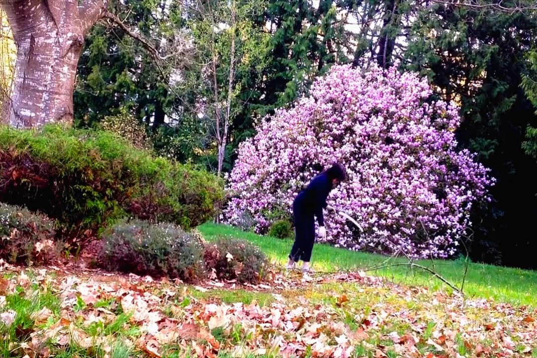 My garden in spring on Vimeo