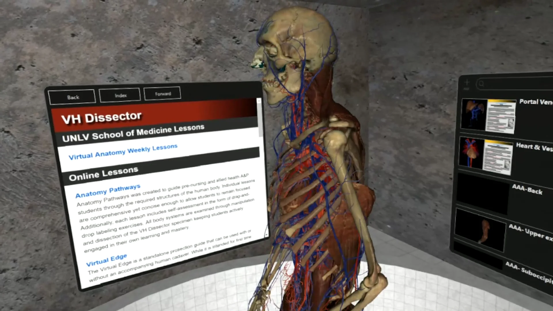 VH Dissector VR Overview