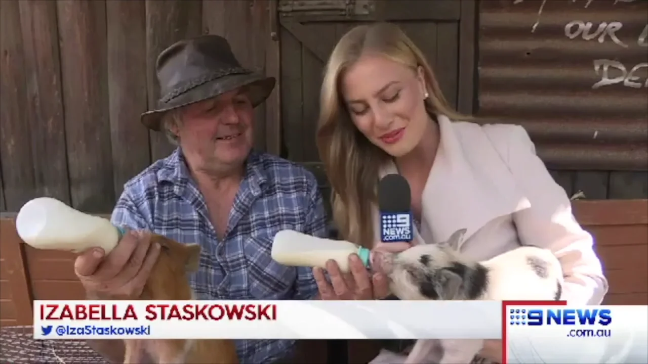 Izabella Staskowski May 2019 Showreel on Vimeo