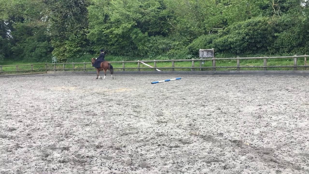 Cornilo Spring Fayre 6th May 2019 - Janet-Sidesaddle-display on Vimeo