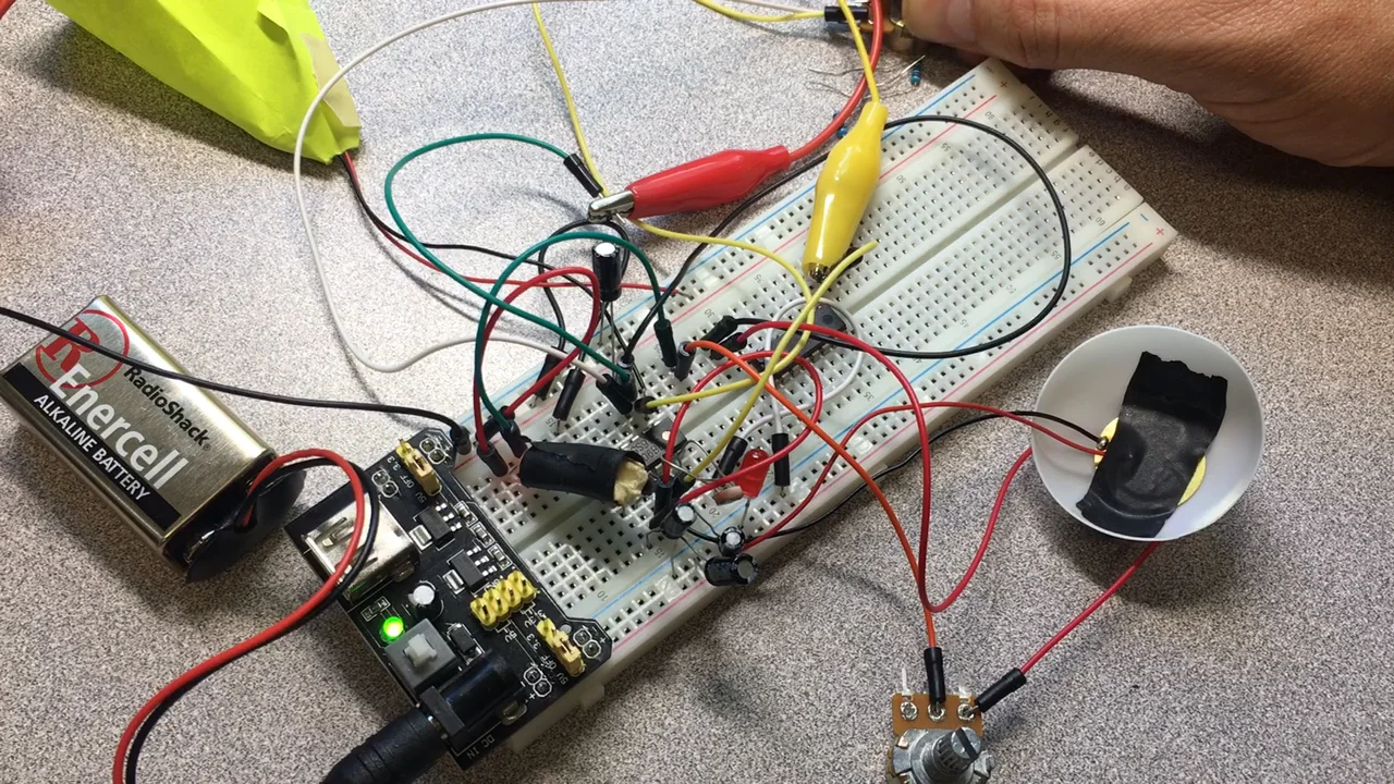 Insect sounds with Lunetta circuits on Vimeo