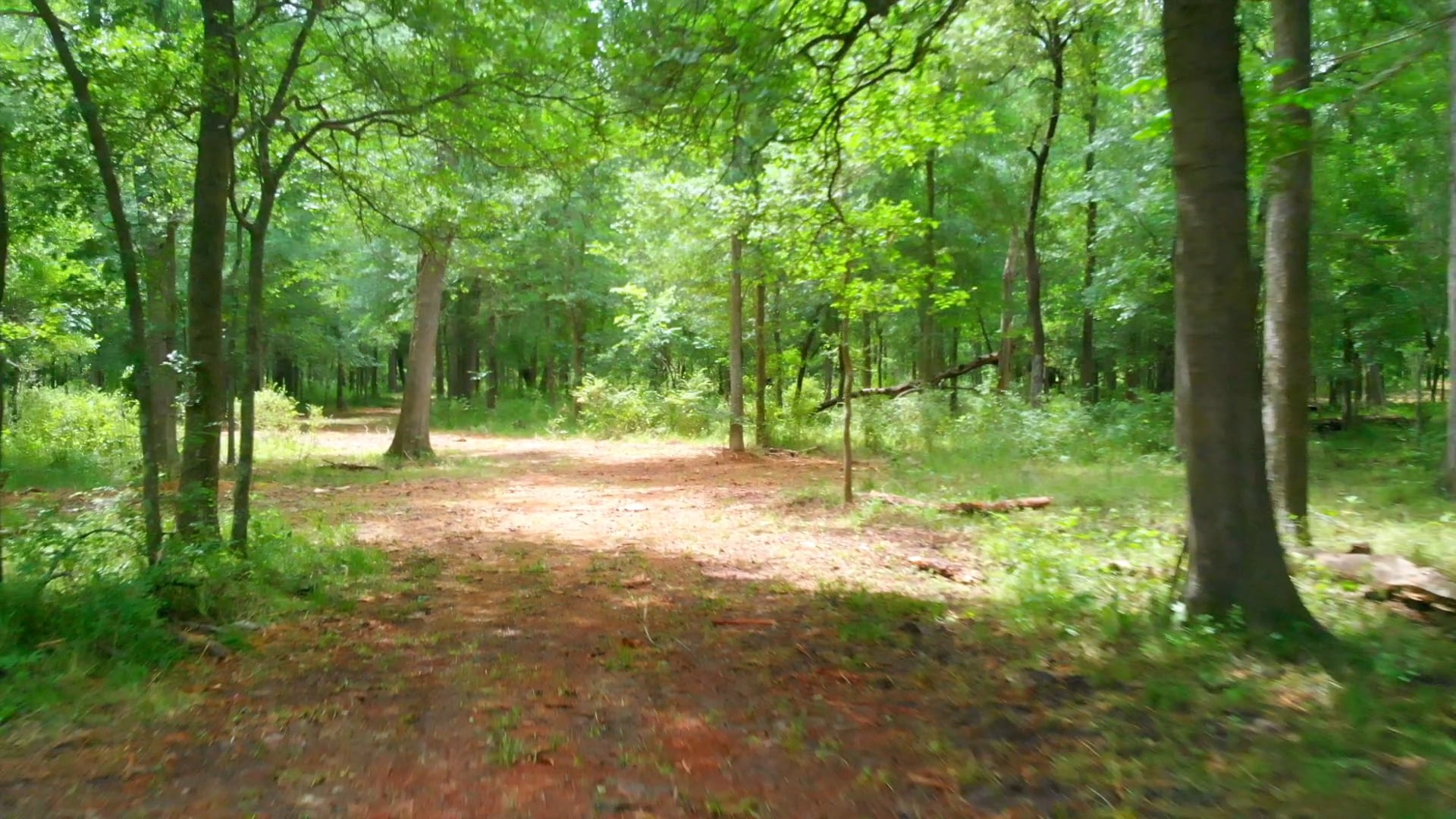 Matthew Menke - Addie Gee-FM1887-Hempstead on Vimeo