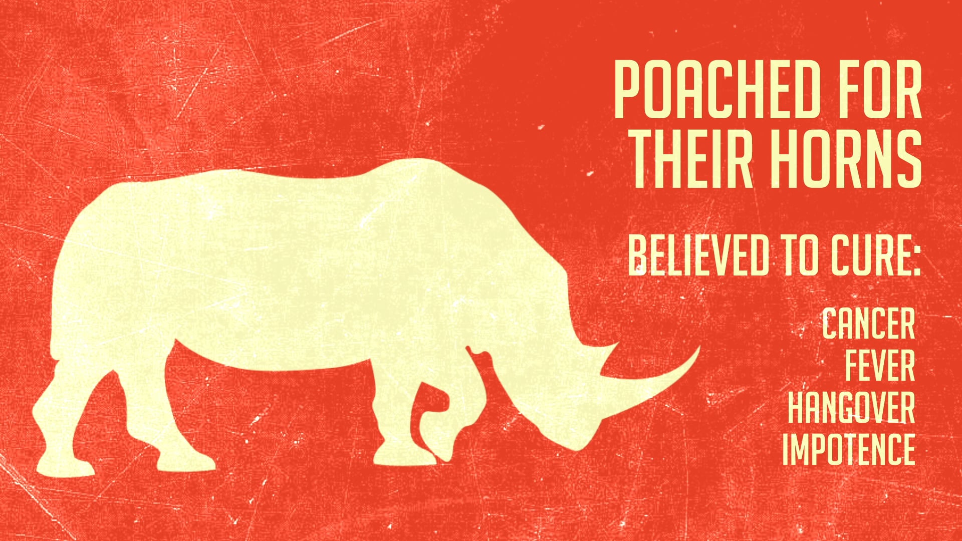 Poaching Infographic on Vimeo
