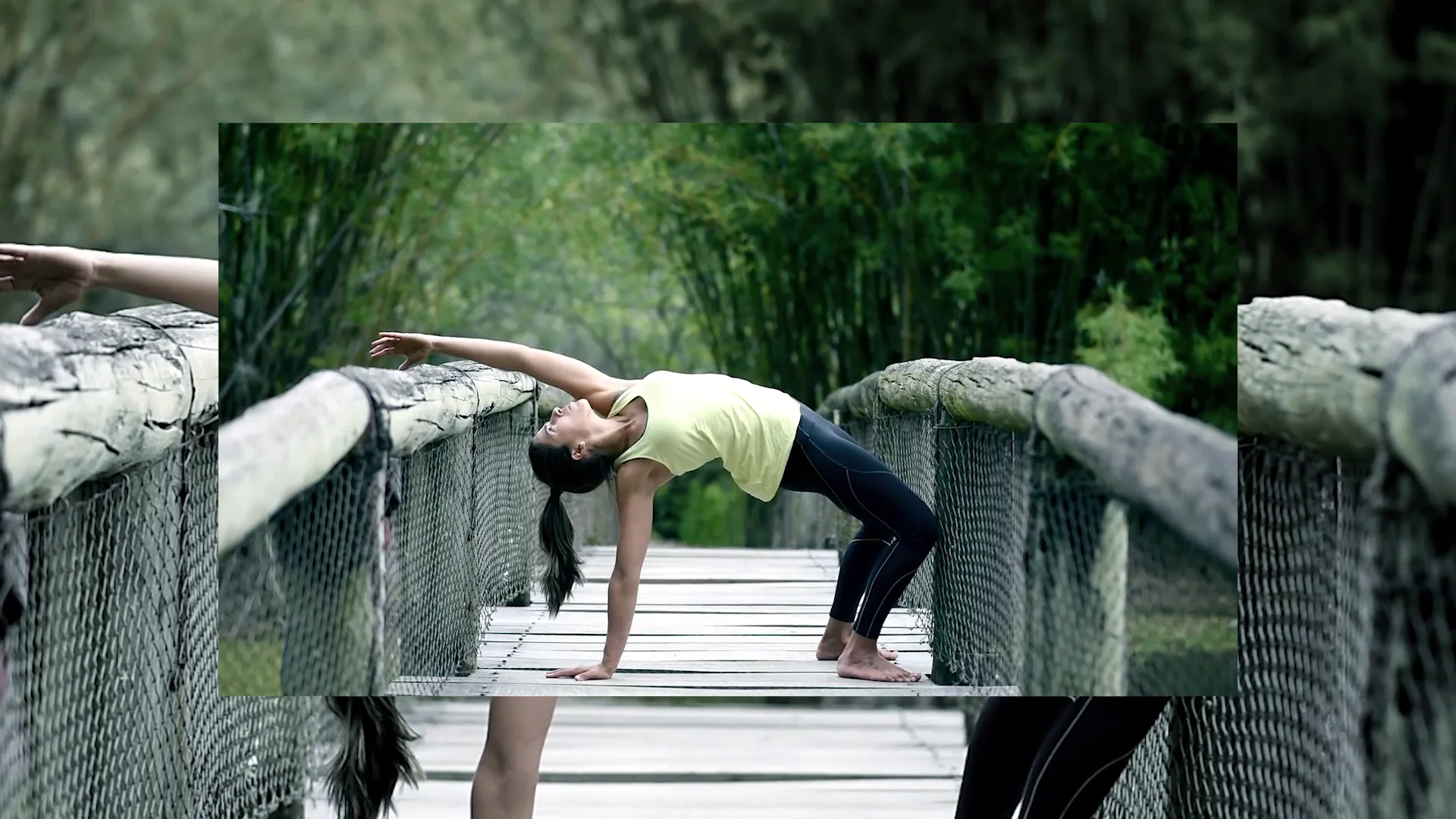 TEASER 5_ Projeto Raquel Steffen na Natureza on Vimeo