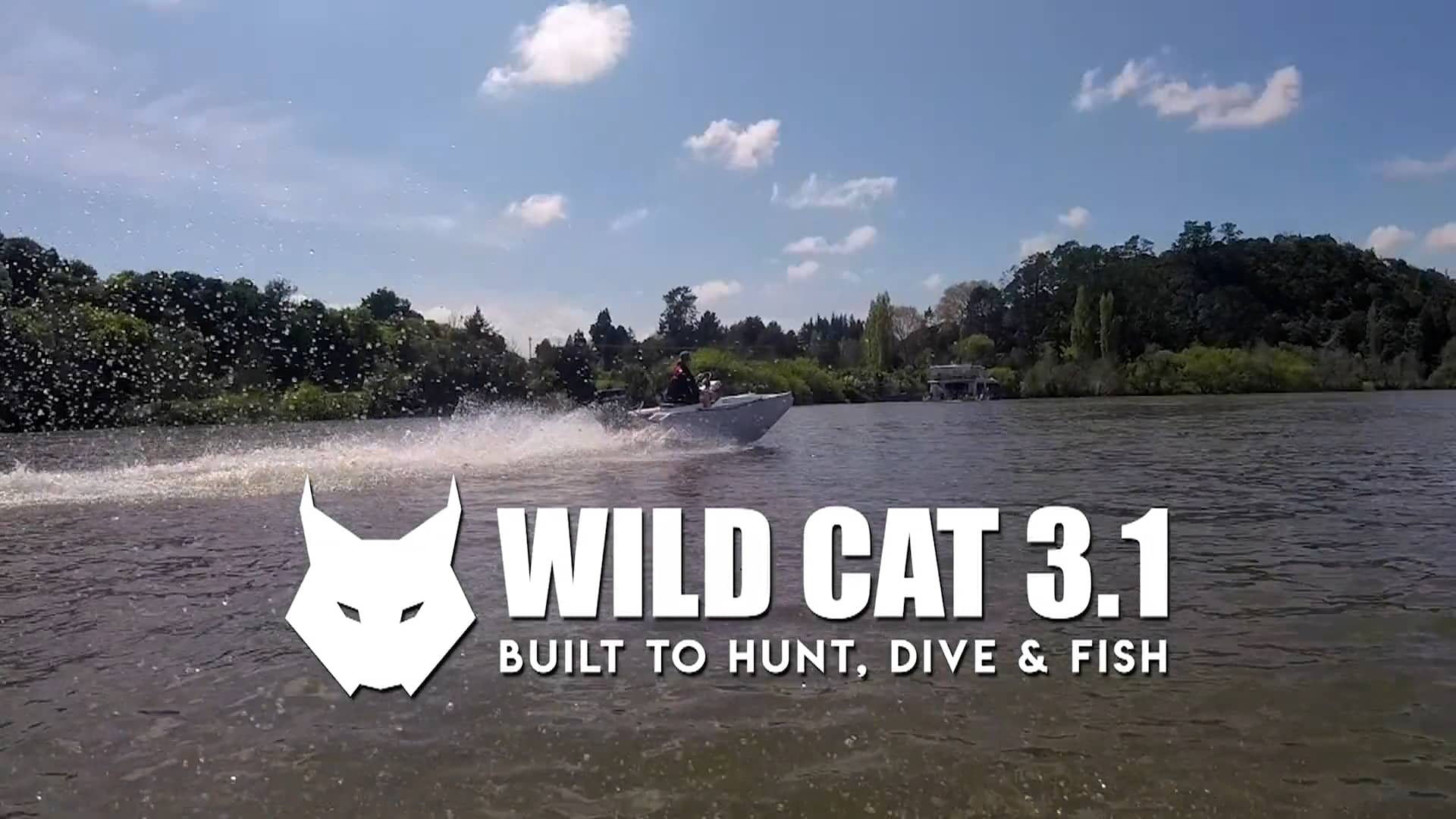 Wild Cat 3.1 promo 33s on Vimeo
