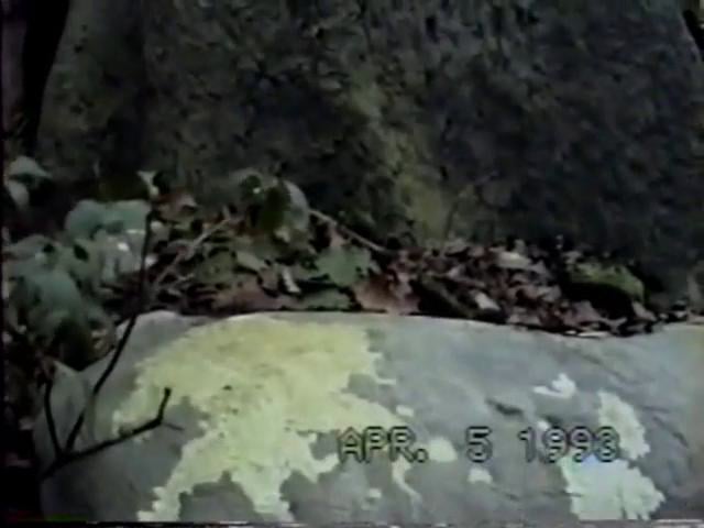 April 5 1993 on Vimeo