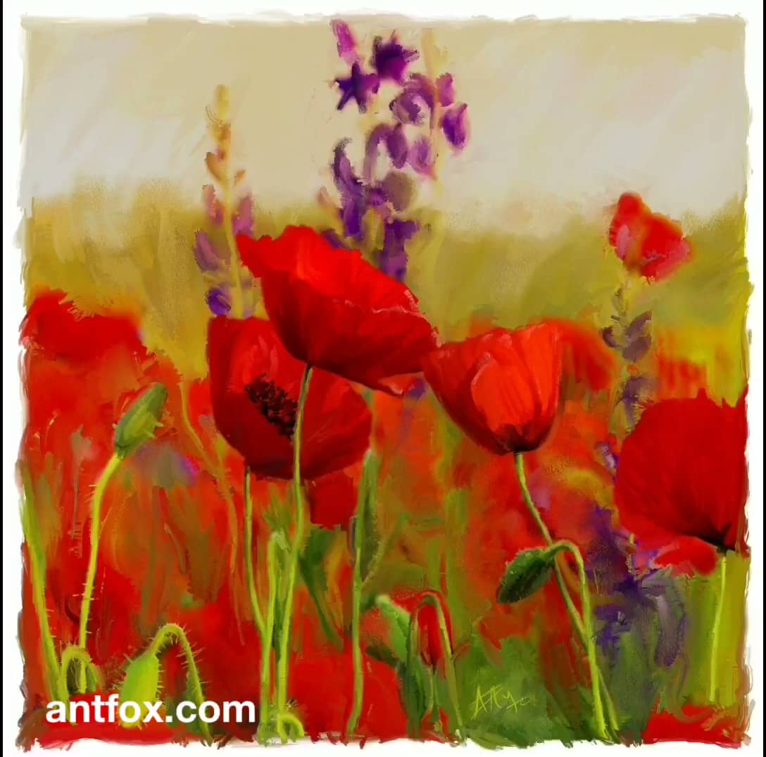 Poppies animation on Vimeo