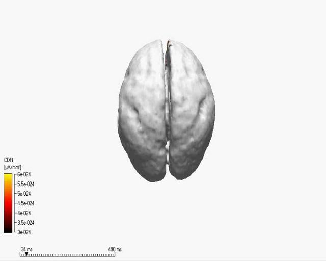 Task EEG - Visual Oddball Task