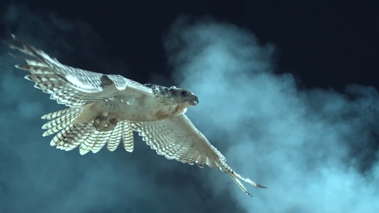 YAS TV Branding Campaign on Vimeo