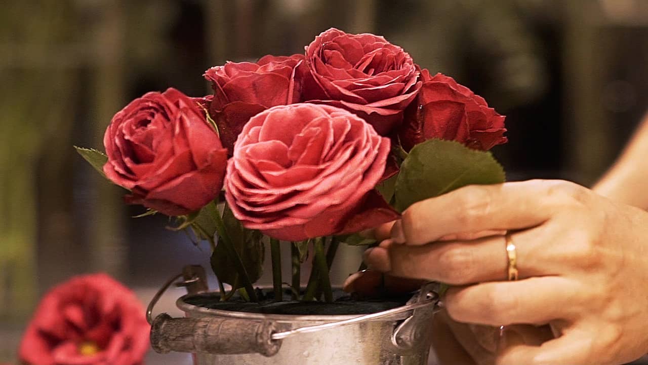 Flower Shop [Service Showcase] on Vimeo