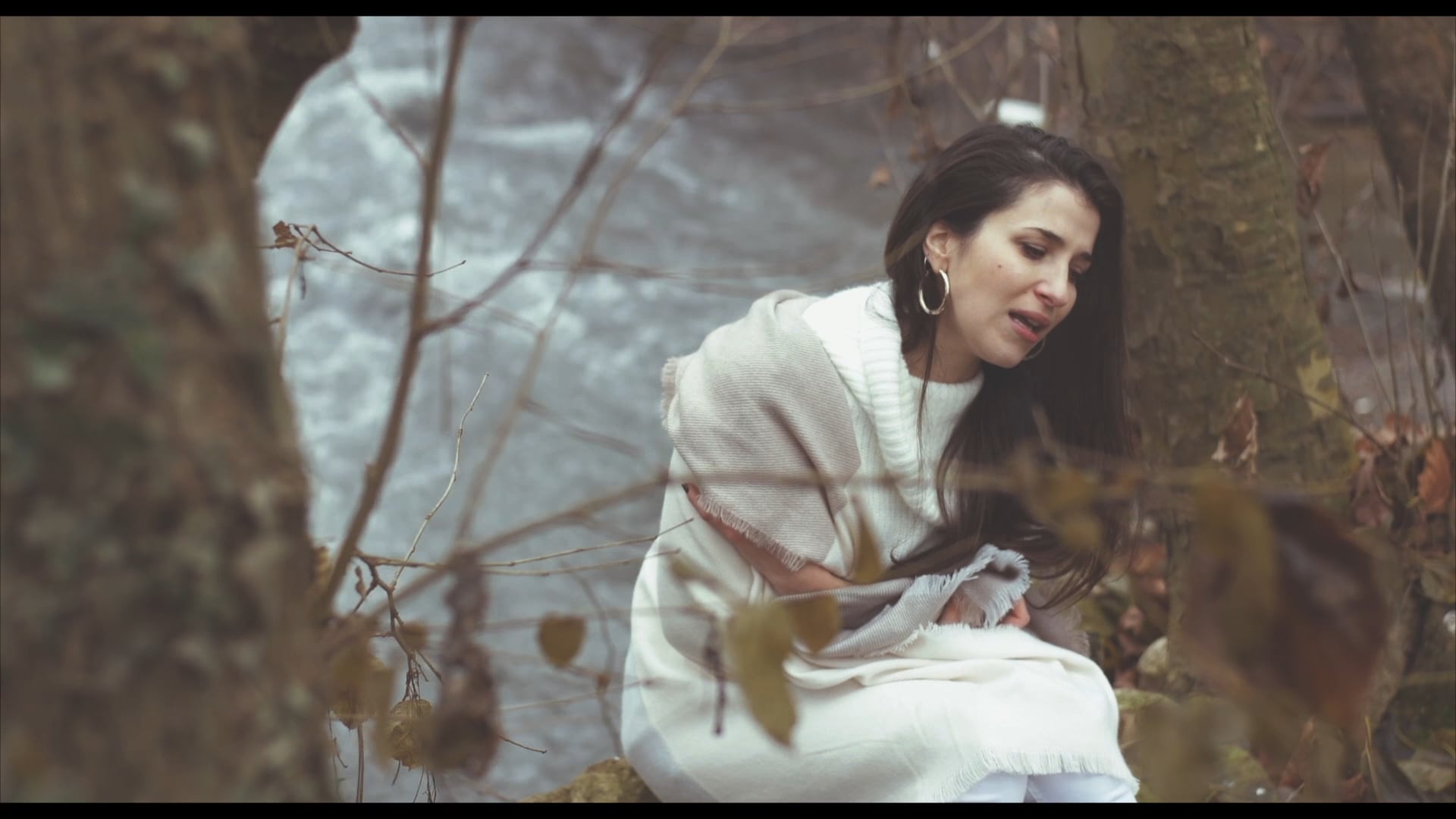into the fog Music Videoclip for Silvia Adelaide "Outside the window ...