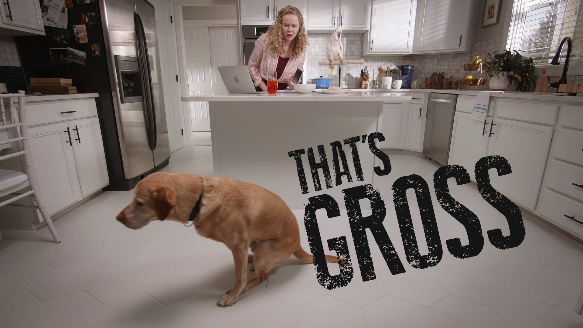 Toby Tile A | Stanley Steemer Commercial (:15) on Vimeo