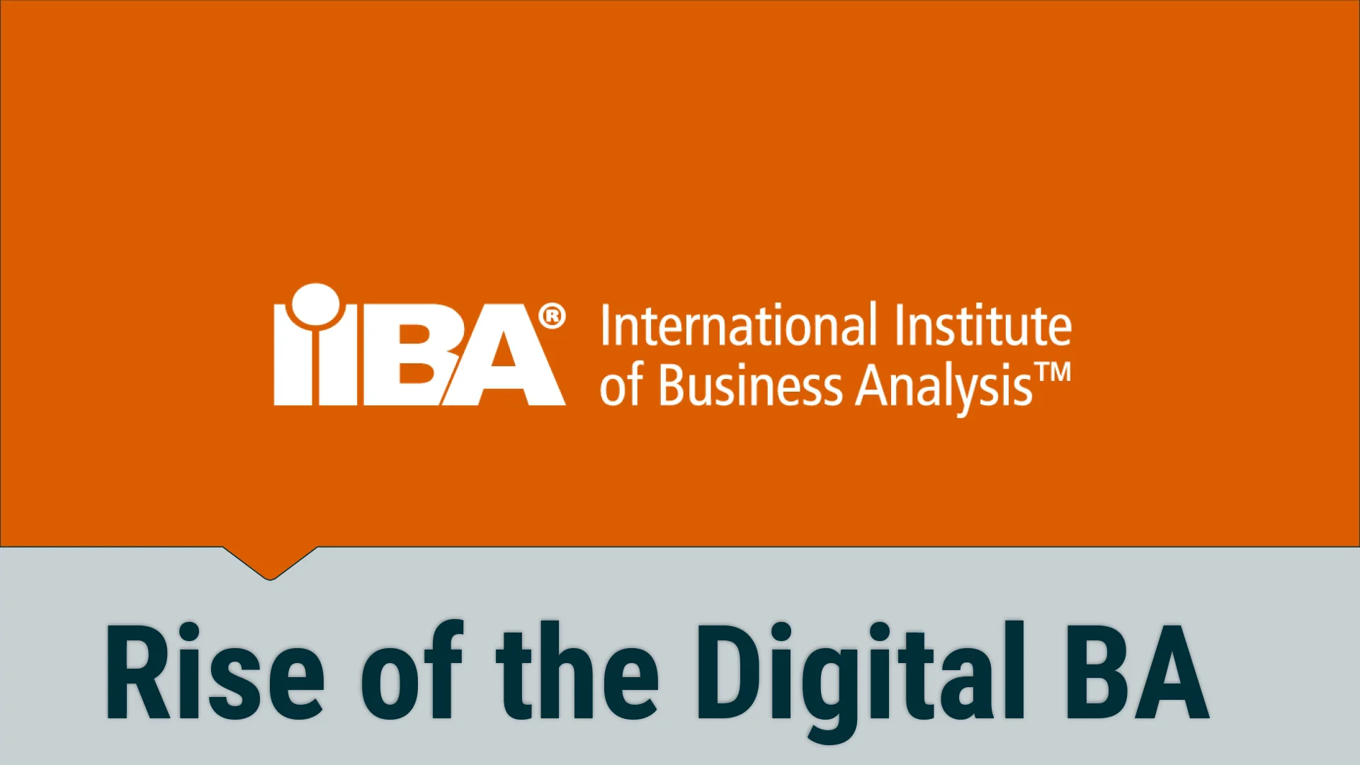 IIBA - Rise of the Digital BA