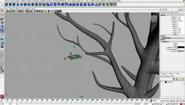 Maya Tree Leaves Tut on Vimeo