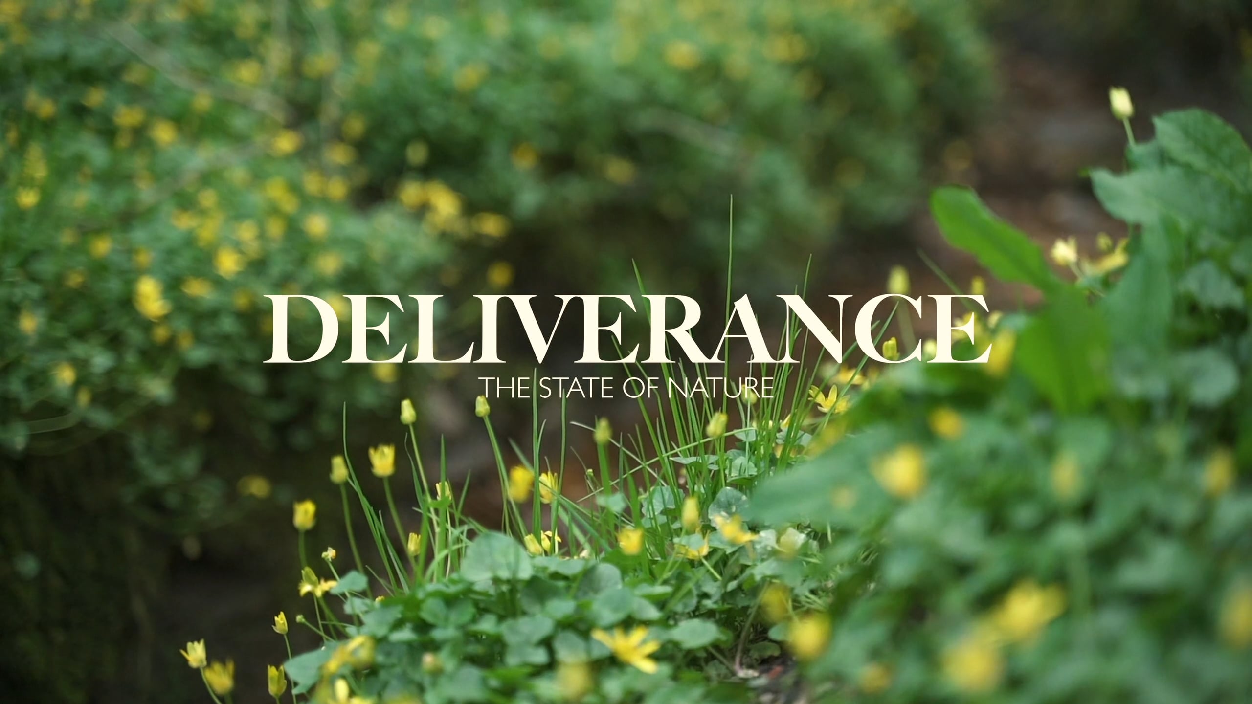Deliverance - The State Of Nature on Vimeo