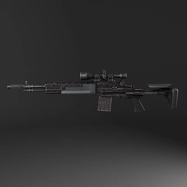 M14 Ebr Rifle