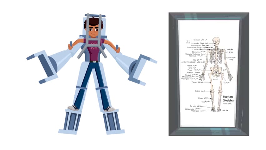 endo-vs-exo-skeleton-ar