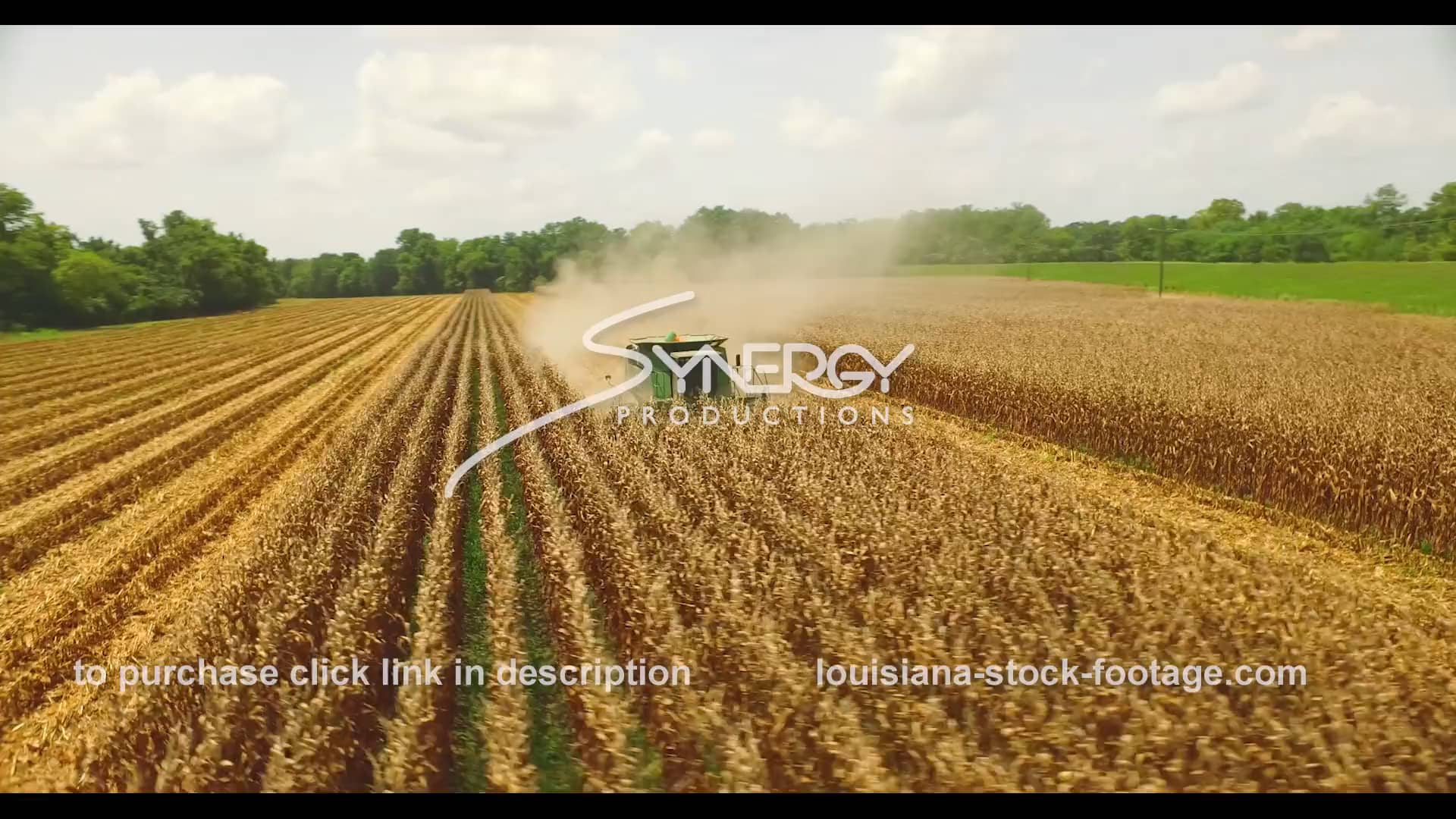 1032 Epic aerial view of corn harvest drone aerial agricultural corn ...