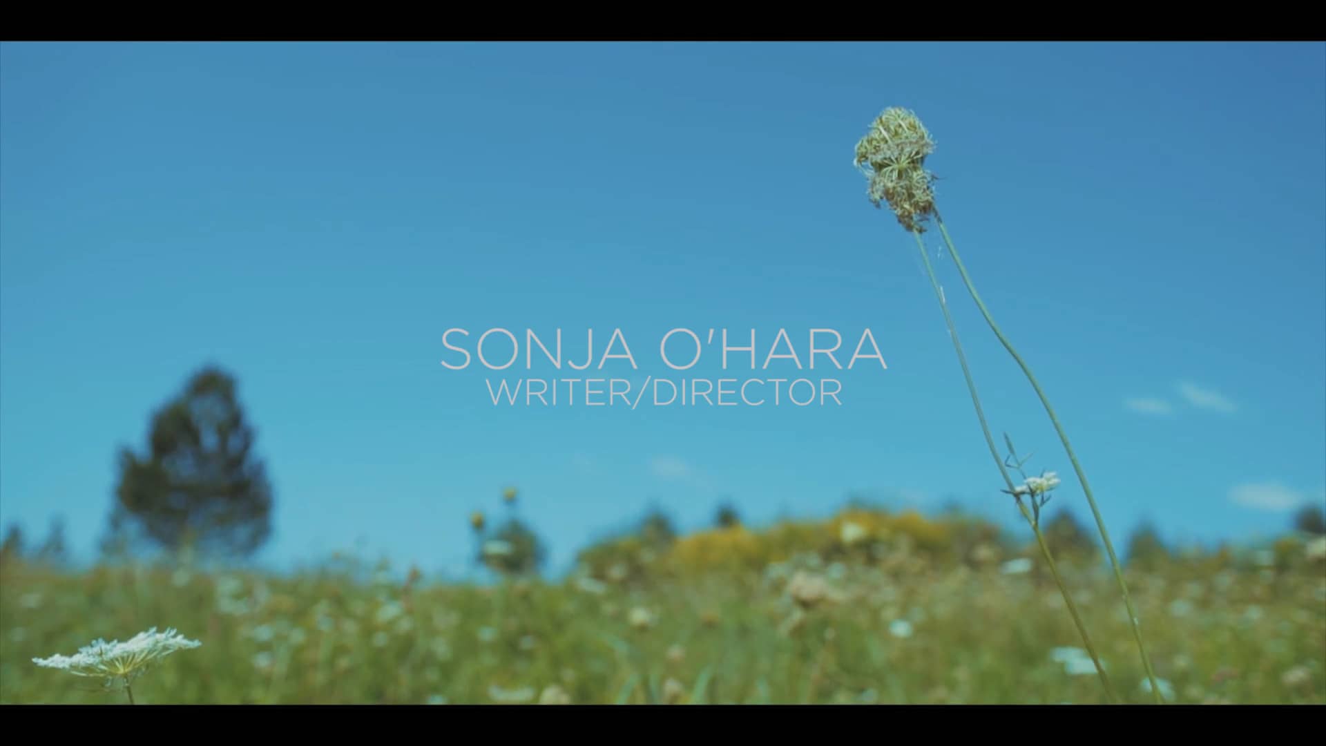 Sonja O'Hara - Filmmaking Reel (WME & Management 360) on Vimeo