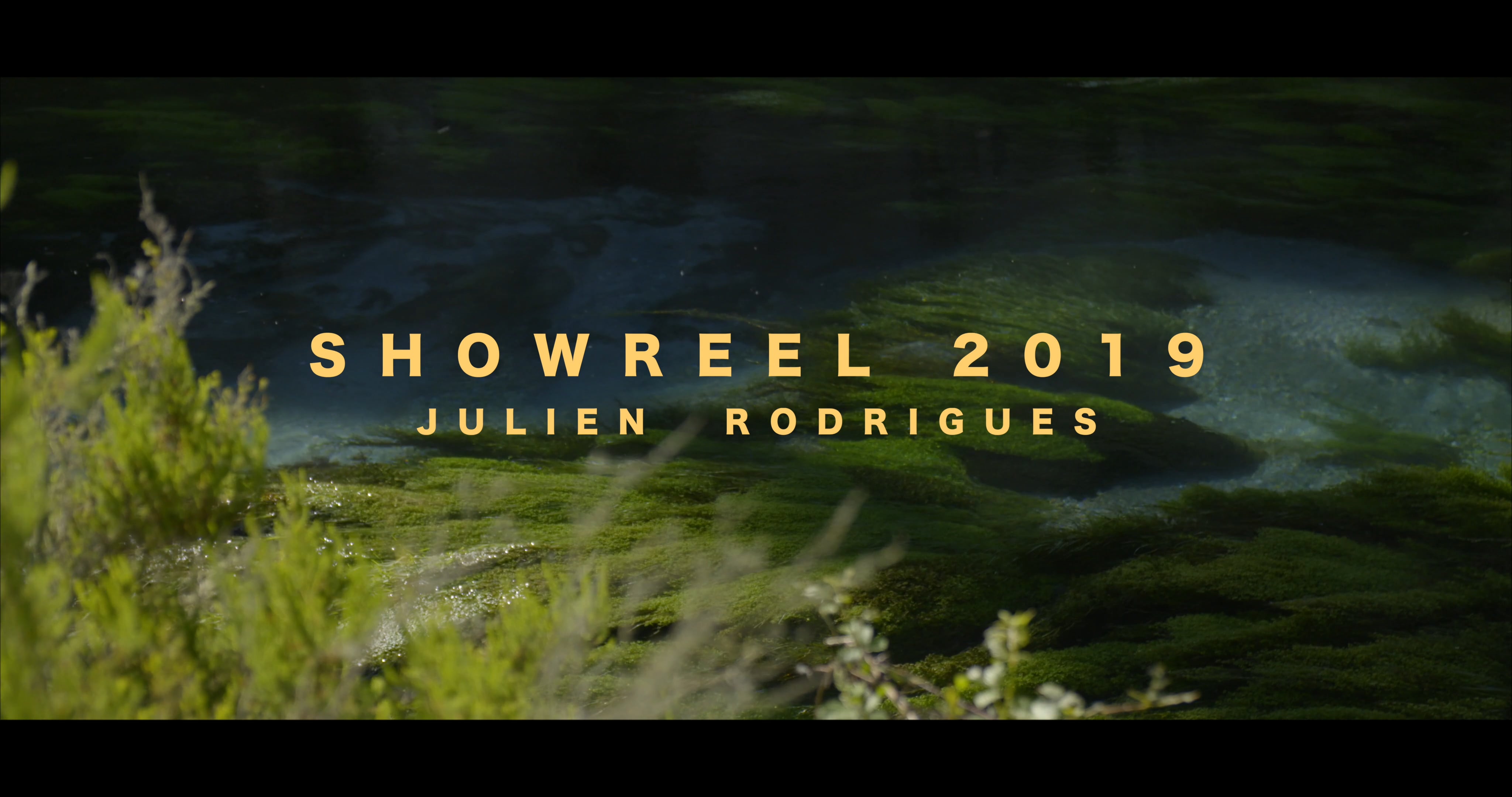 SHOWREEL 2019 Julien Rodrigues on Vimeo